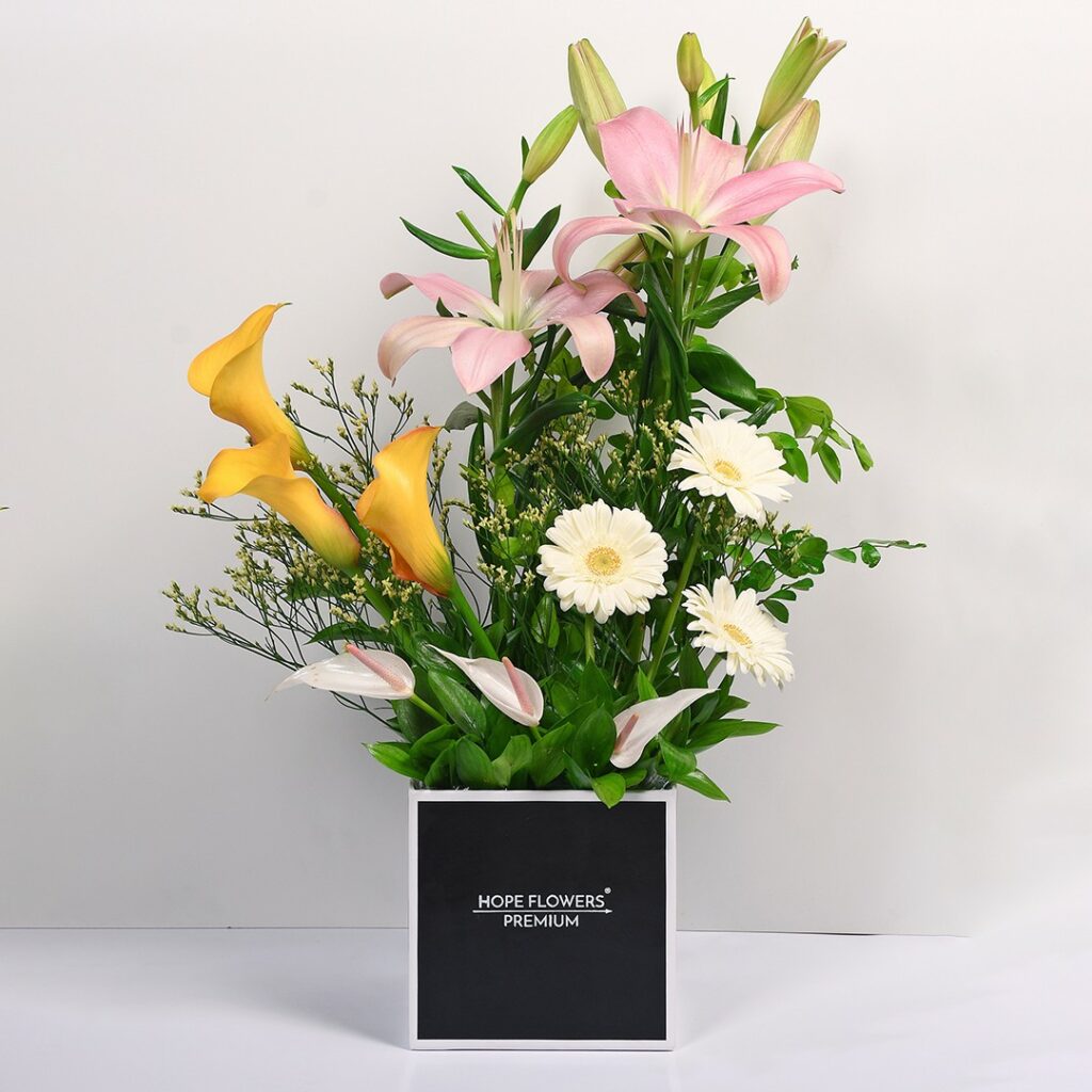 Hope Flowers - Send flowers to Egypt